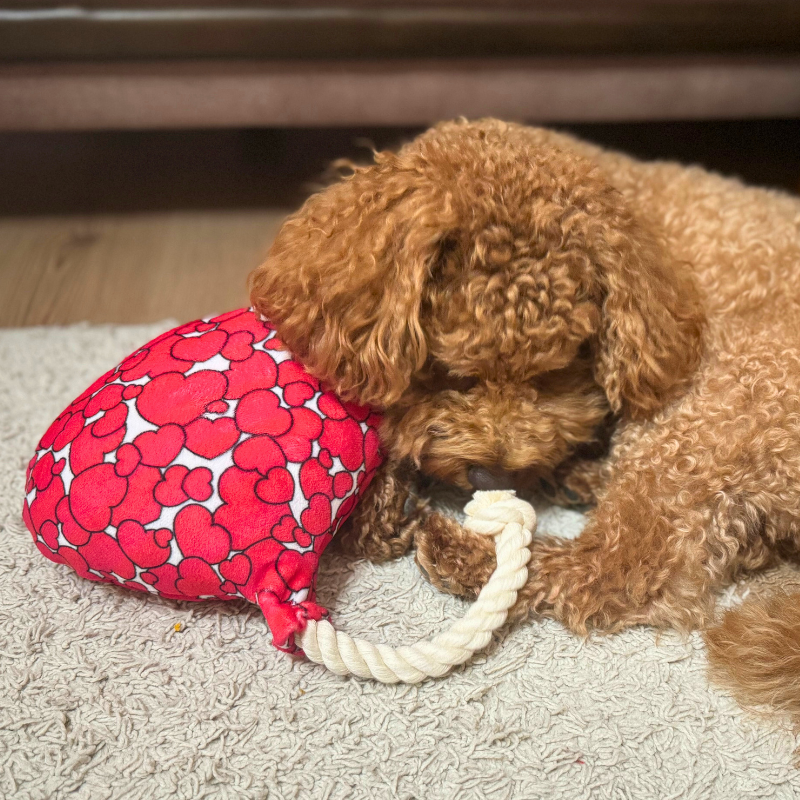 WufWuf Love is in the Air, Balloon Shaped Plush, Crinkle, Rope Dog Toy ...